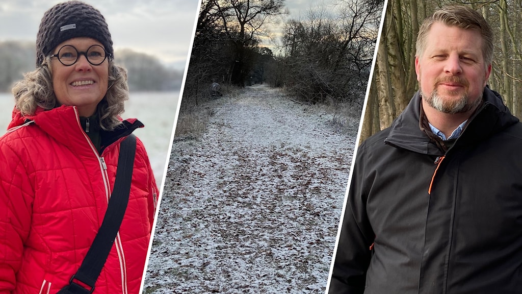 Nytt naturreservat i Skåne – "Viktigt med biologisk mångfald" - P4 ...