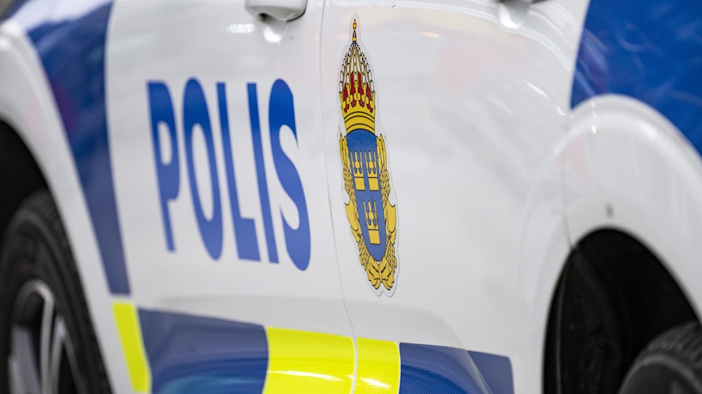 Fotbollsmatch för barn urartade – polis fick komma - P4 Malmöhus ...