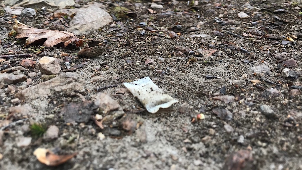 Snus och fimpar stor del av nedskräpningen i nationalparken - P4 ...