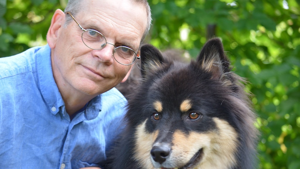 Experten: Inför körkort för att få ha hund - P4 Skaraborg | Sveriges Radio