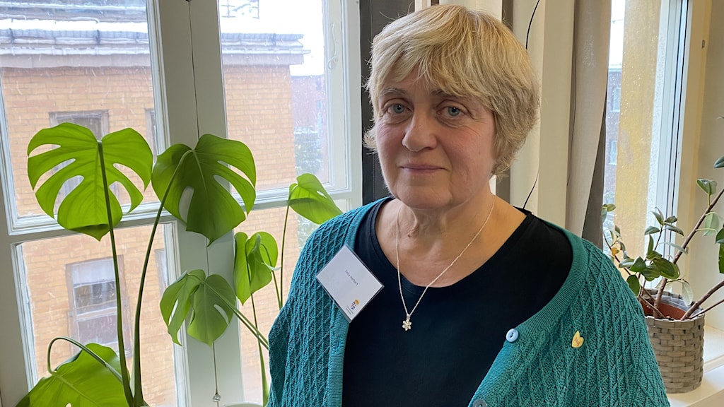 Anitas dotter utsattes för övergrepp: Samhället måste fatta - P4 ...