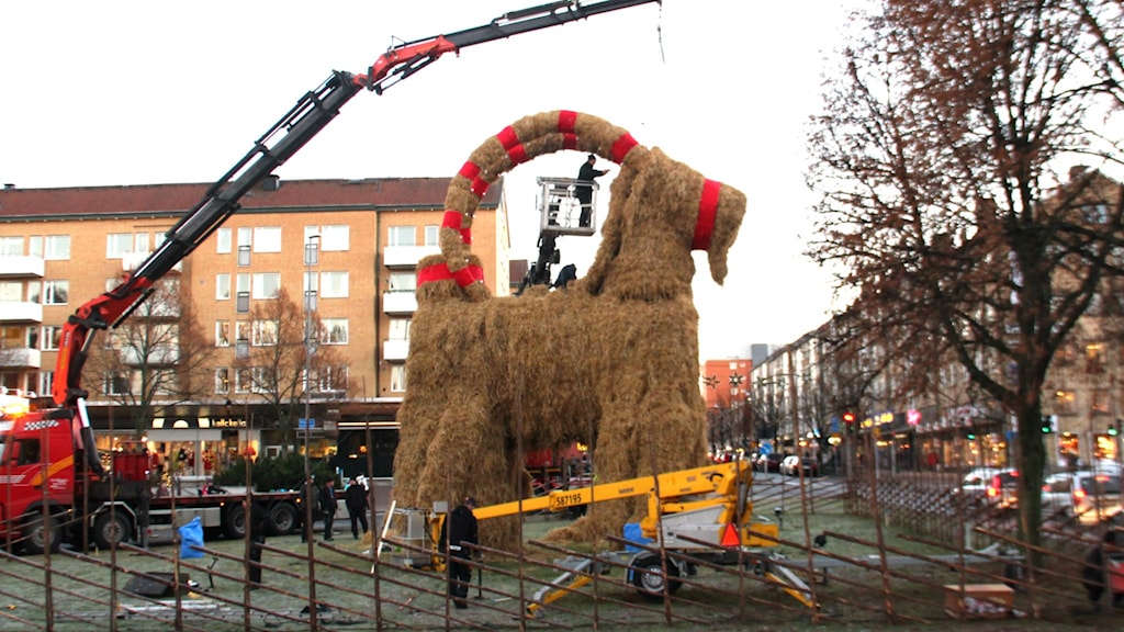 Giant Christmas straw goat inaugurated in Gävle - Radio Sweden ...