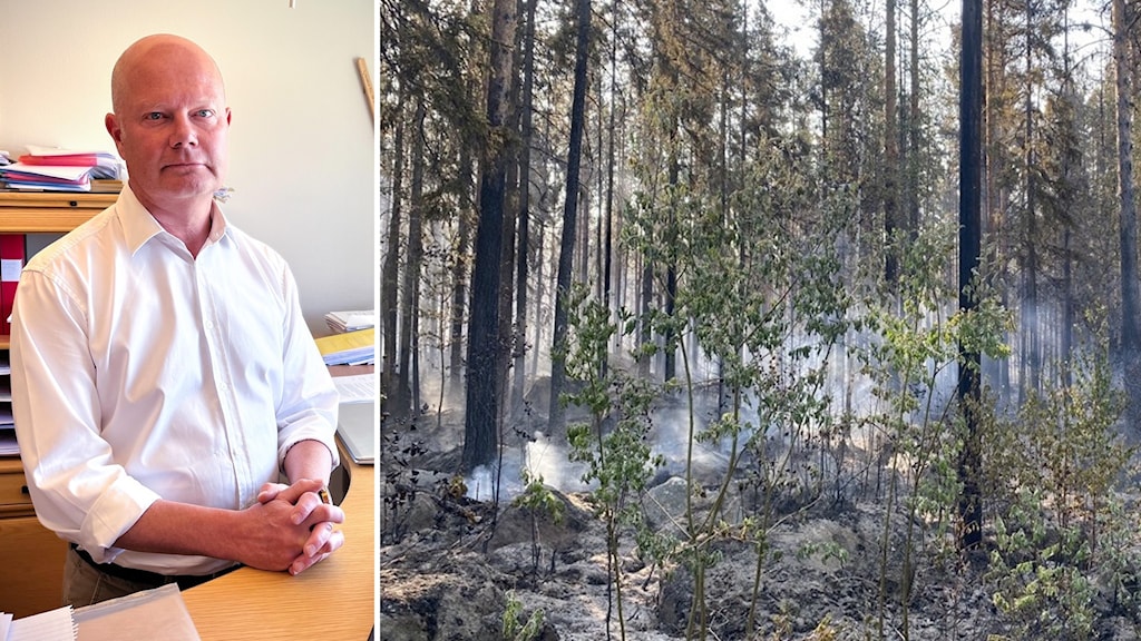 Ljusdals kommun går upp i beredskapsläge – på grund av skogsbranden ...