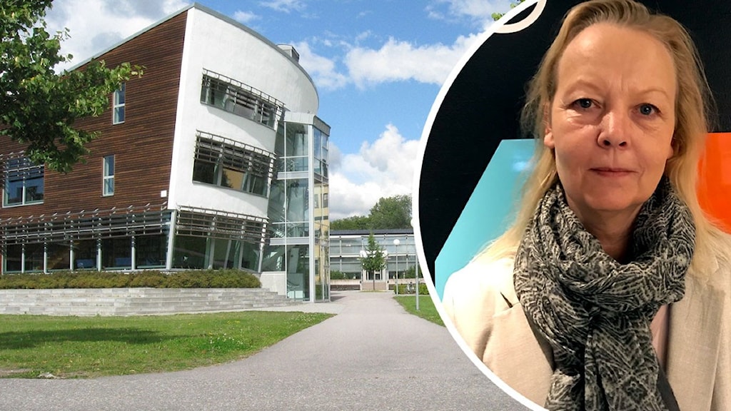 Stor ökning av ansökningarna till Sjuksköterskeprogrammet - P4 ...