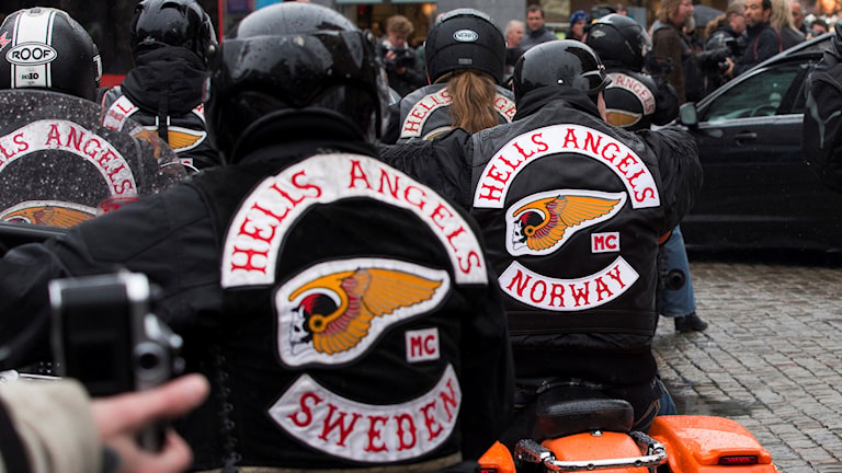 Efterlyst Hells Angels-medlem gripen på Sweden Rock - P4 Blekinge ...