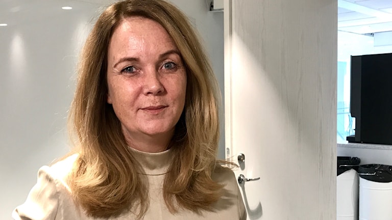 Nya ministrar tar tag i gränsbetesfrågan - Sameradion & SVT Sápmi ...